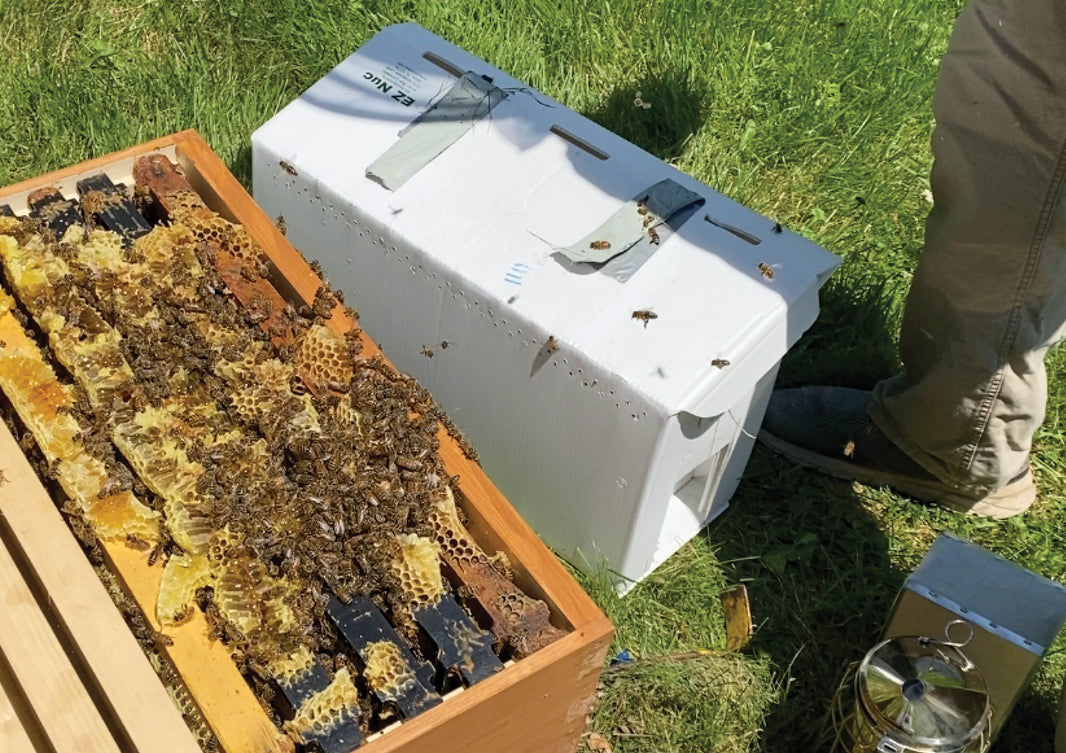 BeeWorks Supply Company, LLC – BeeWorks LLC