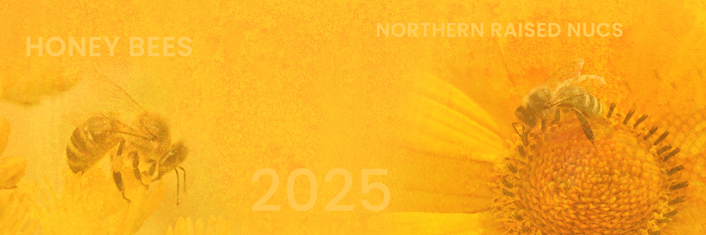 Beeworks LLC – BeeWorks LLC