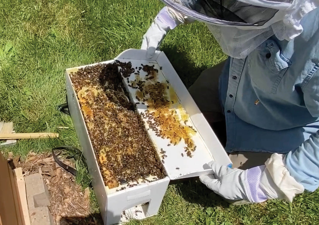 BeeWorks Supply Company, LLC – BeeWorks LLC